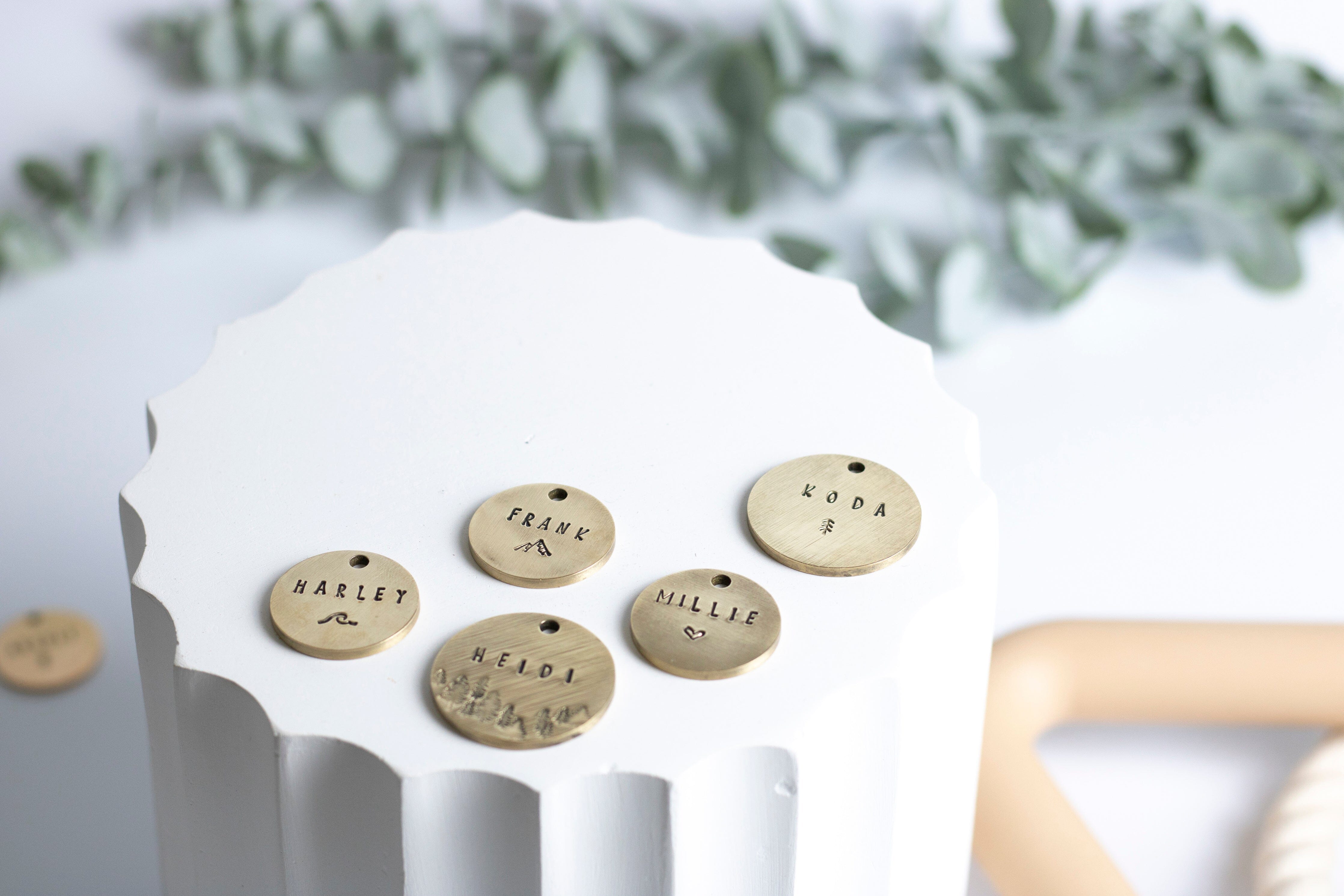 Pet ID Tags – Aussie Paws Co.